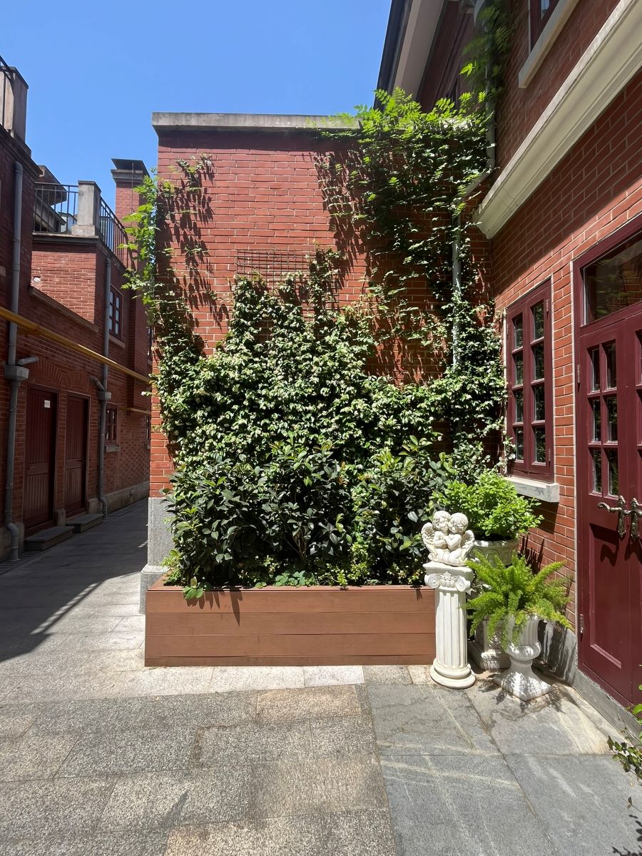Comment bouturer un jasmin étoilé ? - Créer un jardin en ville